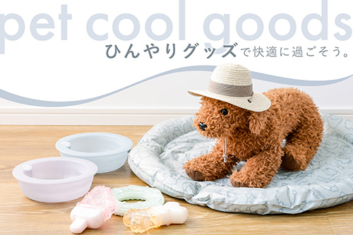 【ELM】3COINS+plus